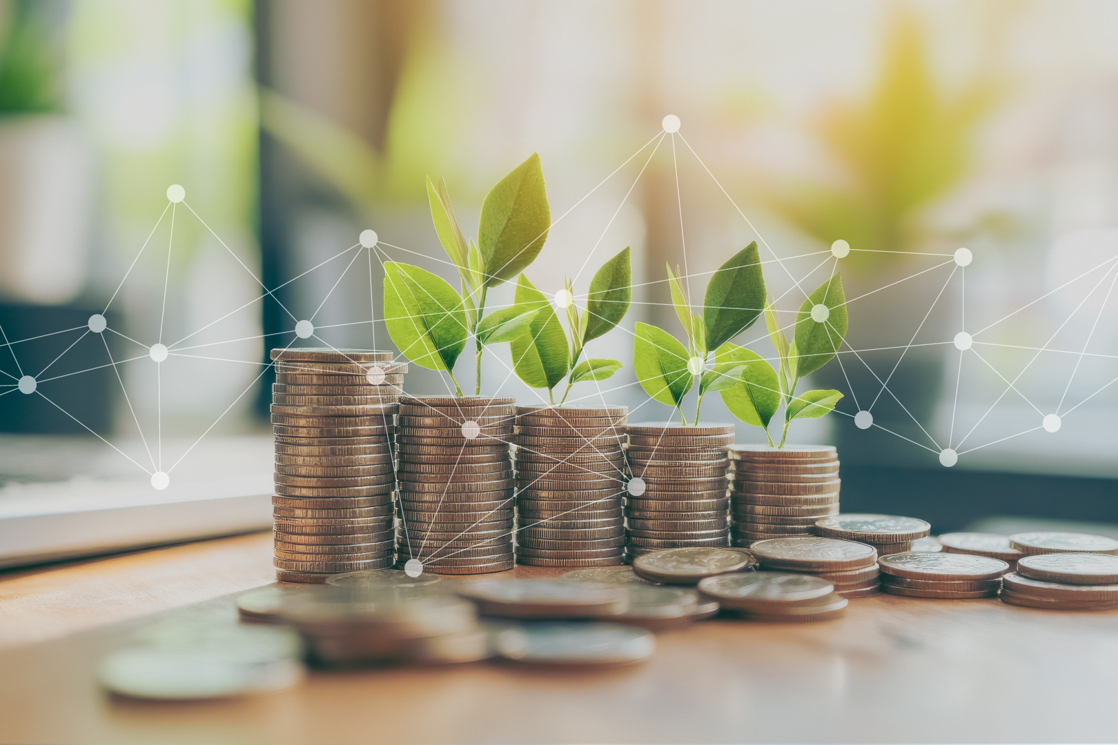 Startup Capital Semilla